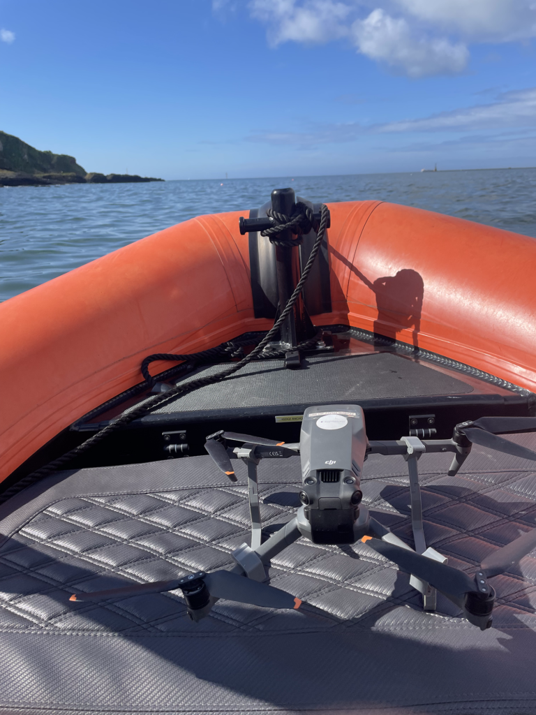 Interfish - Different View